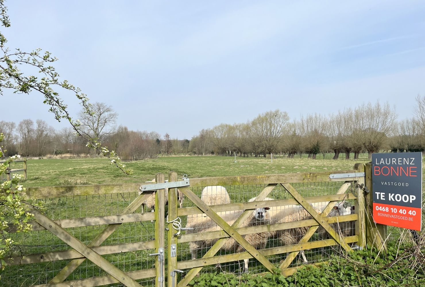 Huizen, appartementen en gronden te koop - Bonne Vastgoed